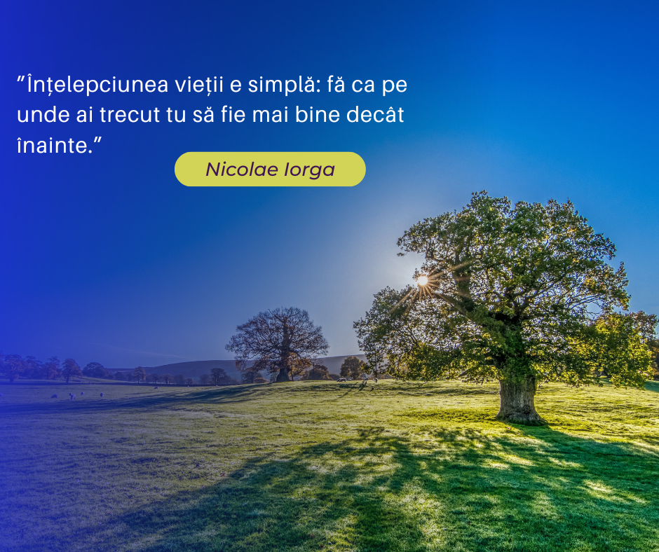 Înțelepciunea și sensul vieții - Consilier NLP Integrativ - Ella Tomiuc